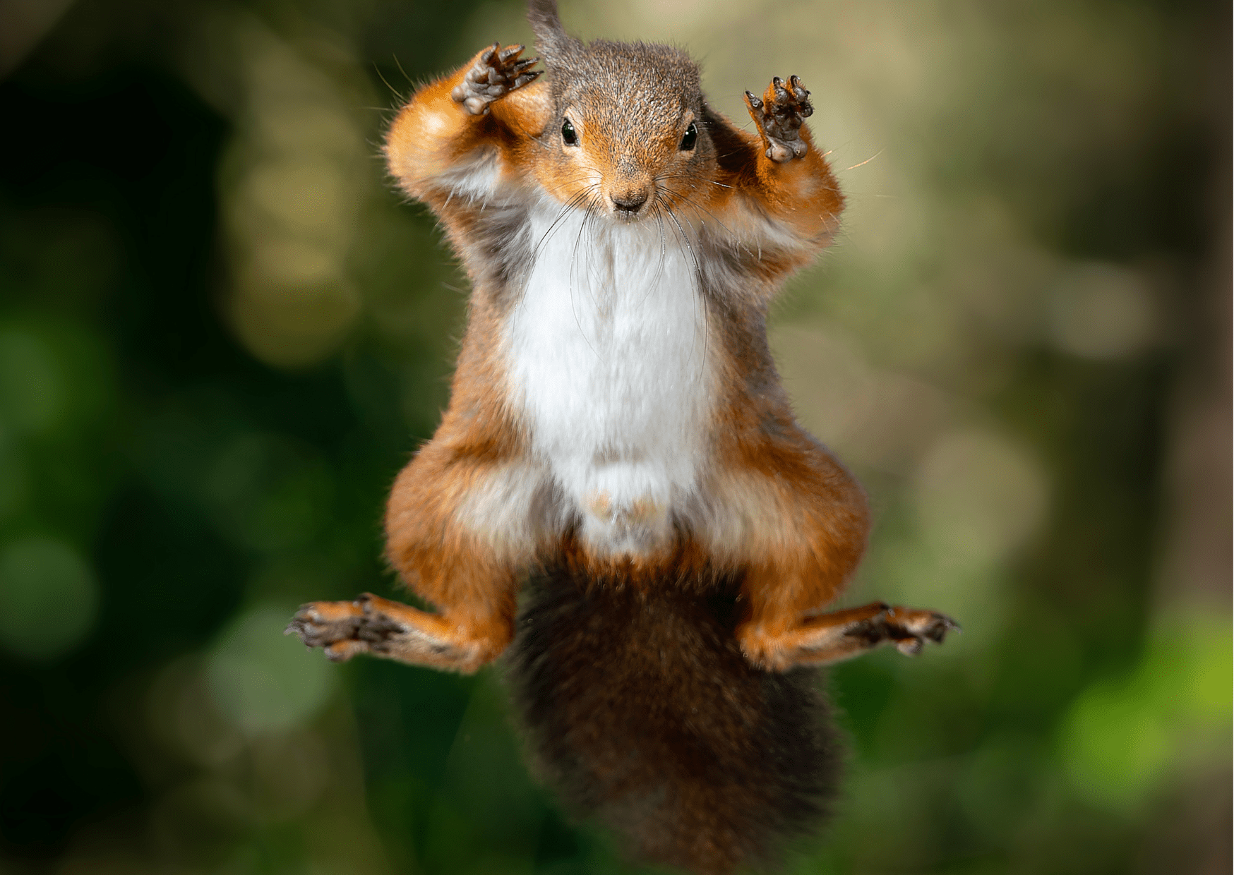 9 Top Tips for Making the New Job Leap | Abrivia Recrutiment